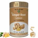 Buy BLOOFAH Pure Wellness: Organic Ginger Roots Supplement - 500mg Pure ...
