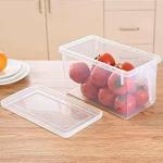 Buy Denique White Plastic Fridge Container 3000 ml (Pack of 1) Online ...