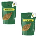 Buy B&B Organics Foxtail Millet (Pack of 2- Each 500 g) (Whole Grain ...