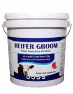 Buy Heifer Groom Calf Growth Powder Feed Supplement for Cow Cattle Farm ...