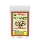 Buy YUGANTAR PUTRAJEEVAK BEEJ - JIYA POTA SEEDS - PUTRA JIVAK BEEJ ...