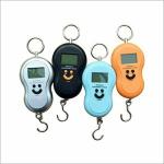 Buy OSR MEDPLUS PORTABLE ELECTRONIC SCALE Online at Best Prices in ...