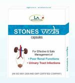 Buy Jivan Shree Stoneveda Kidneystone And Renalhealth Care Kidney ...