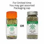 Buy Pure Tree Organic Fennel Seeds 50 gm | Sabut Saunf | Variyali ...