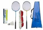 Buy TRIUMPH Passion Badminton Combo Pack, 2 pc TRIUMPH Pasion Badminton ...
