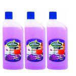 Buy Whitebust Floor Cleaner Liquid for Cleans and Shines to Tiles ...