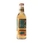 Buy Jade Forest Ginger Ale - Pack of 24 Online at Best Prices in India ...