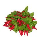 Buy Glimmer Lightings Red Mirchi Chillies String 9 mtr Light For Home ...