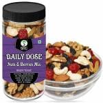 Buy SRC CREATIONS Daily Dose | Nuts & Berries Mix | Ready to eat ...