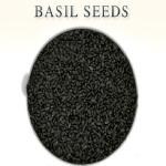 Buy kotaliya basil seeds sabja seeds basil tree seeds Seed (650 per ...