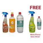 Buy Kitchen Cleaning Set (Dishwash Gel, Kitchen Cleaner, White Phenyl ...