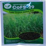 Buy CoFS29 Fodder Seed 1kg Online at Best Prices in India - JioMart.