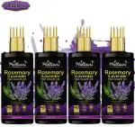 Buy Phillauri Rosemary Hair Growth Oil with Rosemary & Methi Dana for ...