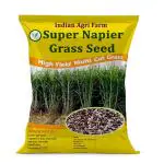Buy Iagrifarm Super Napier Grass Seed - 1 Kg (Approx. 16000 Seeds) / High Yield Perennial ...