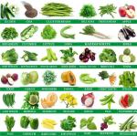 Buy Greenery Hub Organic 40 Varieties Vegetable Seeds Combo Pack (40 ...