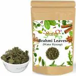 Buy Dirghaanshi Dry Brahmi Leaves,Neerbrahmi,Water hyssop,Bacopa ...