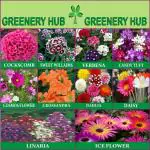 Buy Greenery Hub Organic 10 Varieties of Garden Mixed Flower Seeds Combo (10 Per Packet) Online ...