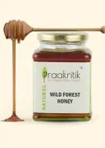 Buy Praakritik Wild Forest Honey -500g - Natural Online at Best Prices in India - JioMart.