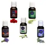 Buy Moriox Lavender Rose Teatree Rosemary Jasmine Essential Oil Combo ...