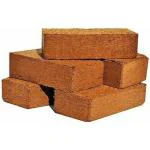 Buy Master Green Cocopeat Block Manure 7.8 Kg (Pack Of 12) Online at ...