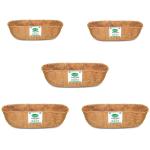 Buy BIOTRUST Coconut Coir Plant Tray|Premium 42cm Seed Starting and ...