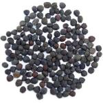 Buy AnushikAEarly Green Cabbage, Bandha Kobi, Band Gobhi Organic 50 ...