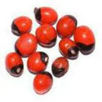 Buy Vinayak Herbals Chanothi, Gunja Seed (200 Per Packet) Online at ...