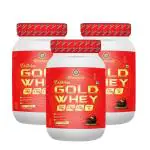 Buy B2 Nutrition Chocolate Gold Whey 1 kg (Pack of 3) Online at Best ...