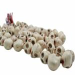 Buy SHIVDEV CRAFT Mund Mala Original for Puja and Mantra Jaap, Nar Mund ...