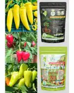 Buy Green World Drought Resistant Chilli Santa Grande, Chilli Sk Bor ...
