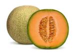 Buy Kechuaa Muskmelon Seeds for Kitchen Gardening, 20 seeds Online at ...