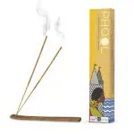 Buy PHOOL - Natural Incense Sticks - Jasmine I Pack of 40 Sticks ...
