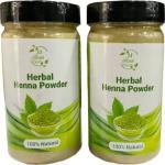 Buy 24 Hours Organic Herbal Henna Powder - Mehendi for Face, Hair ...