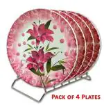 Buy INPRO Melamine Dinner Plates: Lightweight and Easy to Clean ...