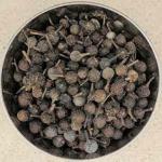 Buy SPS MARKEETING Piper cubeba 50g / java pepper / Tailed Pepper ...