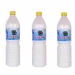 Buy T-REX Pure Power: 1-Liter Concentrated Phenyle for Ultimate ...