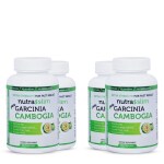 Buy NUTRASLIM GET FIT NATURALLYGarcinia Cambogia (Pack of 4) Online at ...