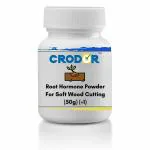 Buy Crodor Root Hormone Powder for Wood Cuttings || Fast Root Starter ...