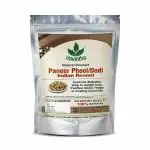 Buy Havintha Natural Paneer Phool | Paneer Doda | Indian Rennet - Help ...