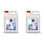 Buy OXY12 Disinfectant Floor Cleaner, Lavender | Surface Cleaner ...