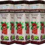Buy Herbshd Gaskure Syrup for Hyper-Acidity and Digestive Health (Pack ...