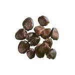 Buy Kapebonavista Bhallaatak Gudde Geeru Bibba Marking Nut Bhilawa Biba ...