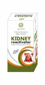 Buy Only Ayurved KIDNEY REACTIVATOR Online at Best Prices in India ...