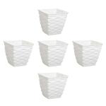 Buy Shopmefast Plastic Atlantic Crystal Square Pots (Pack Of 5) Online ...