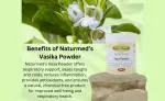 Buy Naturmed's Vasika (Adhatoda Vasica) Powder, 200 g Jar| Pure ...