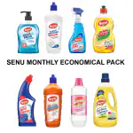 Buy Senu Monthly Economical Pack - Hand Wash 500 ml Toilet cleaner 500 ...