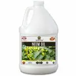Buy Sansar Agro Neem Oil, Premium Essential Organic Liquid Neem seeds ...