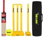 Buy THE VILLAIN Sturdy Wooden Tennis Cricket Bat, Ball, Wicket & Kit ...