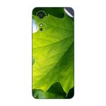 Buy GADGETSWRAP Printed Vinyl Skin Sticker for Oppo A17 - Green Leaf ...