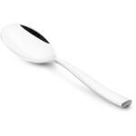 Buy FNS Elegancia Serving Spoon Online at Best Prices in India - JioMart.
